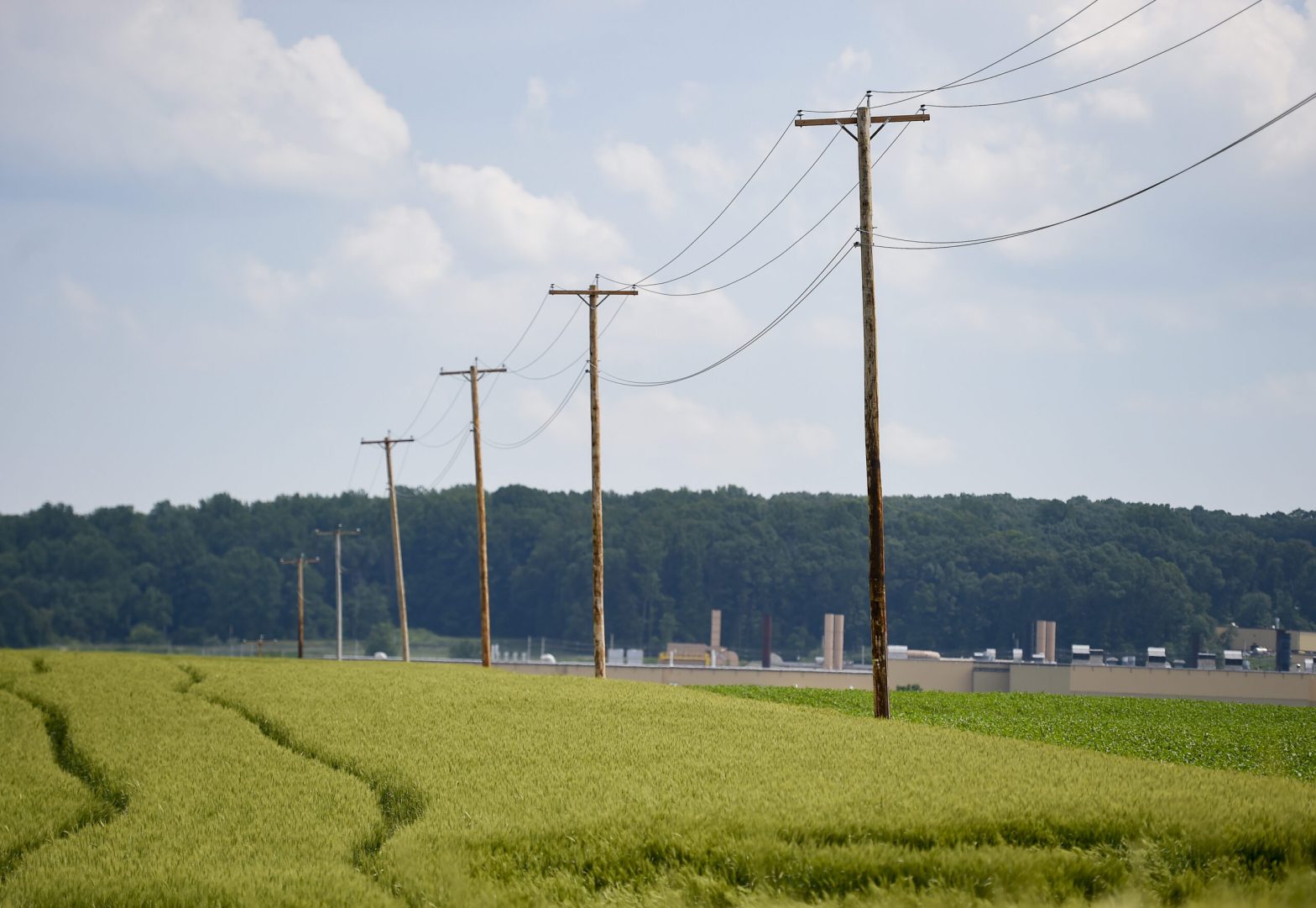 Who We Are – AFREA | Alberta Federation of Rural Electrification ...